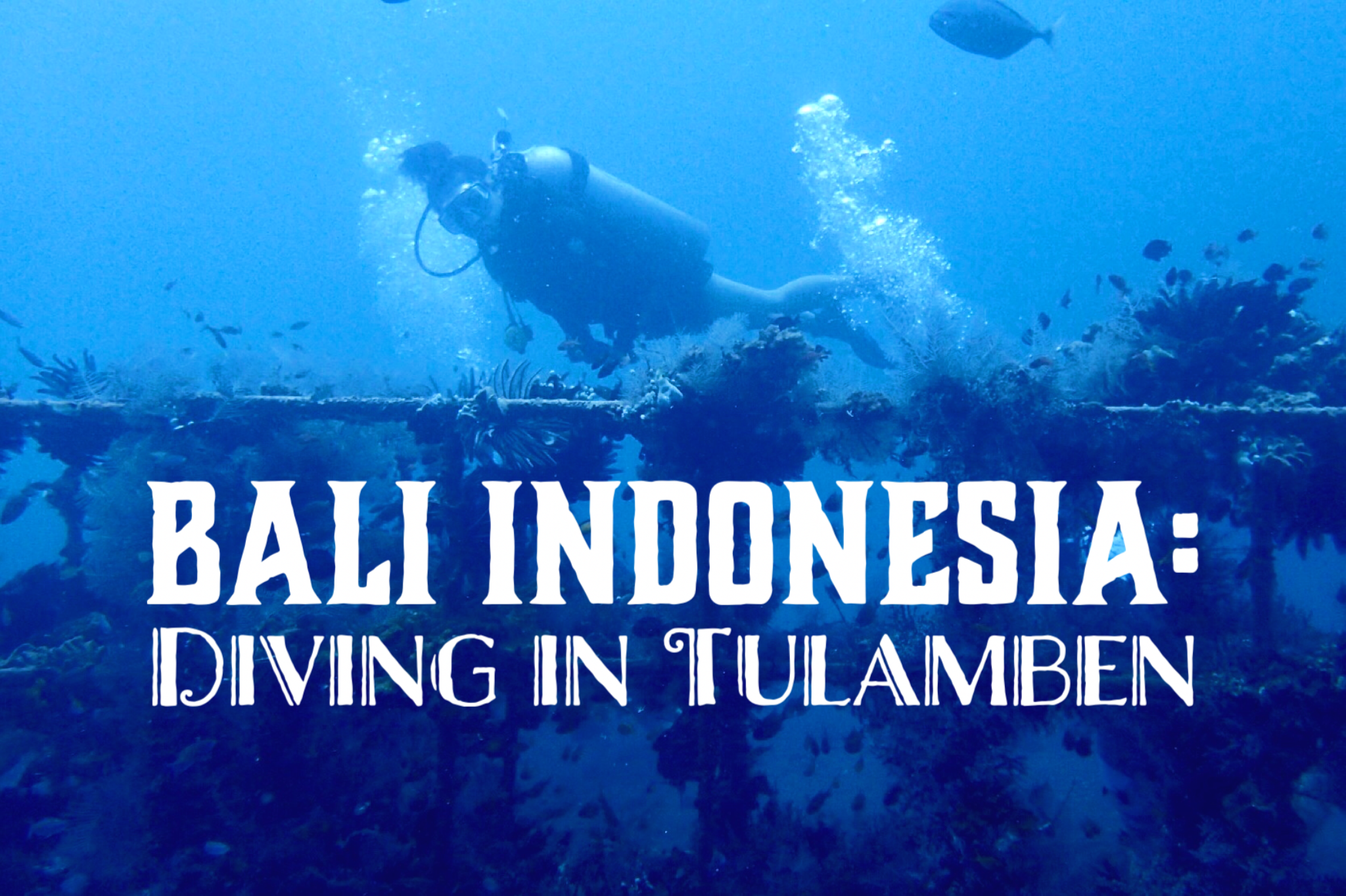 Bali, Indonesia: Diving in Tulamben - She Walks the World